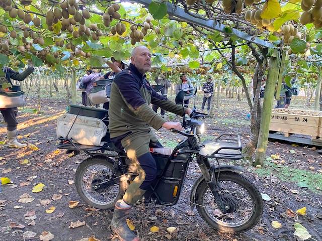 Quiet Power: Mark Ericksen's Innovative Approach to Kiwifruit Farming ...